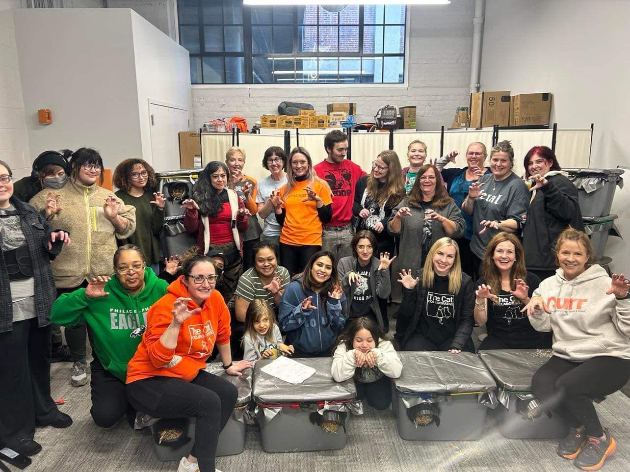 Vote for The Cat Collaborative